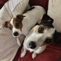 Thunderstorms – My So-Called Life.